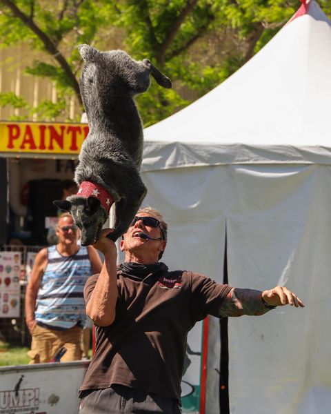 Entertainment | ccfair.com