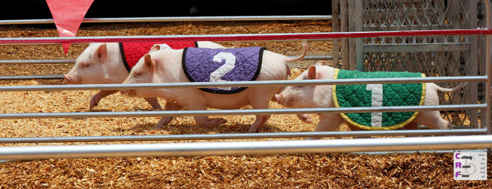 Ground Acts | ccfair.com